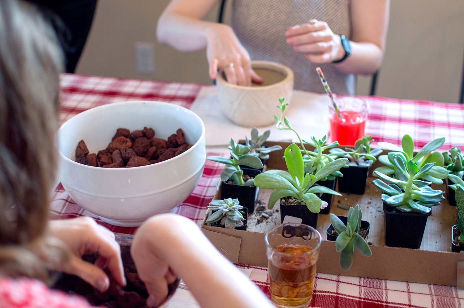 Let’s Get Growing! DIY Succulent Planting Party Idea – Oh, Julia Ann