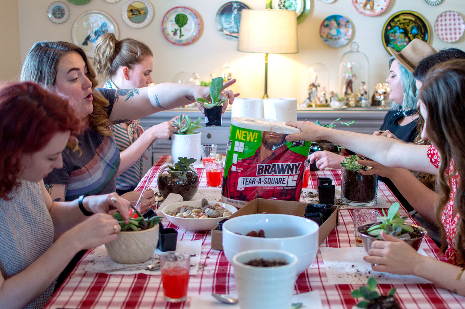 Let’s Get Growing! DIY Succulent Planting Party Idea – Oh, Julia Ann